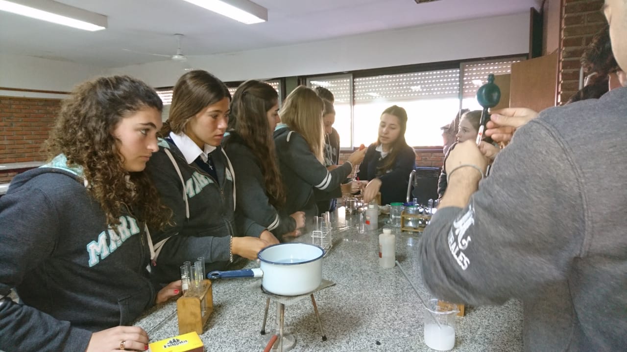 Lapiz Papel Acción Digital 6to Año C En Química Del Carbono