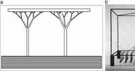 Tree Column Structural System: Biomimicry Application on Lightweight ...
