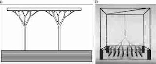 Tree Column Structural System: Biomimicry Application on Lightweight ...