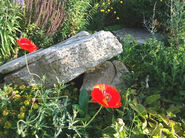 Gardens at Waters East: Colors in the Dead of Winter #4