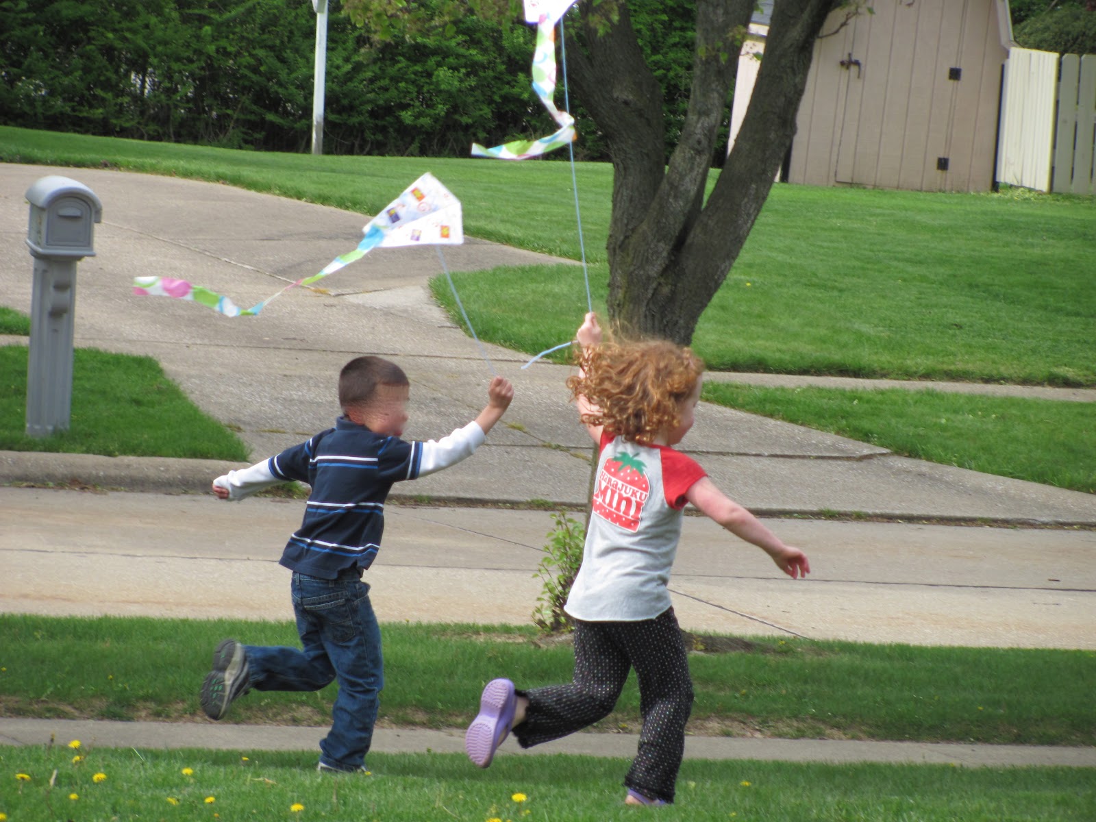 The Chocolate Muffin Tree: Super Cool Kites to Make With Kids
