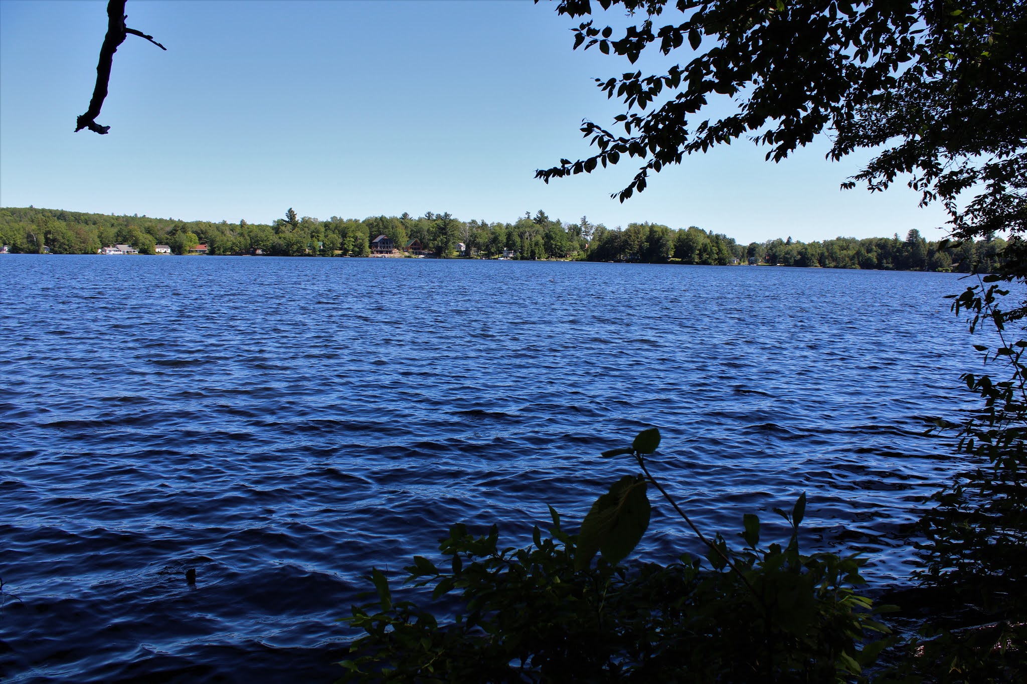 Walking Man 24 7: Dyken Pond Environmental Education Center(Grafton ...