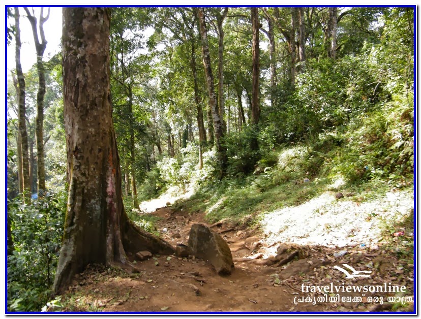 പ്രകൃതിയിലേക്ക് ഒരു യാത്ര (a travel towards NATURE): PULLUMEDU a unique ...