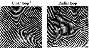 Forensics: Fingerprinting