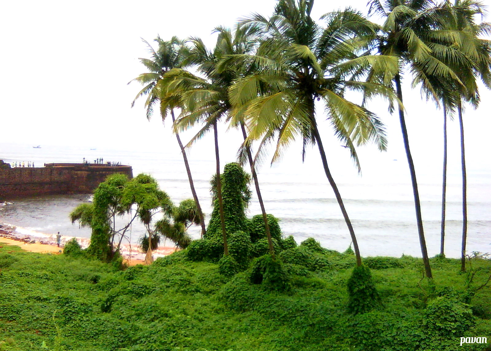 PHOTOGRAPHY: beautiful goa