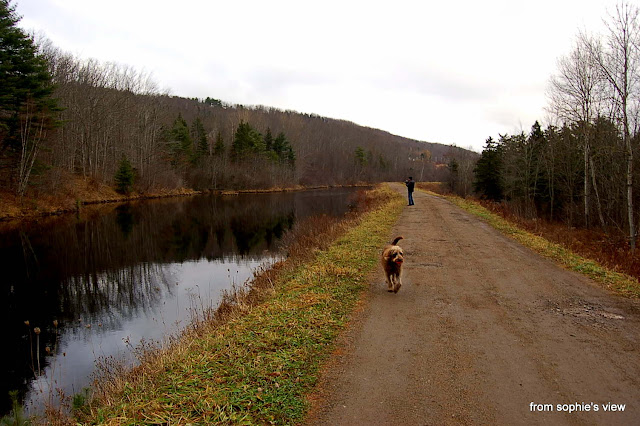 "from sophie's view": Gaspereau Canal & Hemlock Ravine Oasis