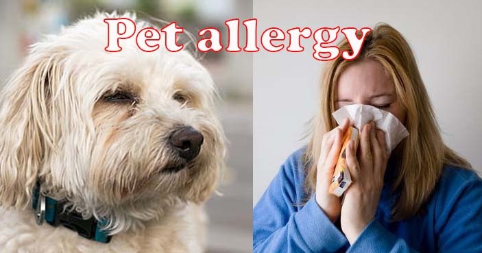 Pet allergy - Symptoms and causes | Nurselk.com