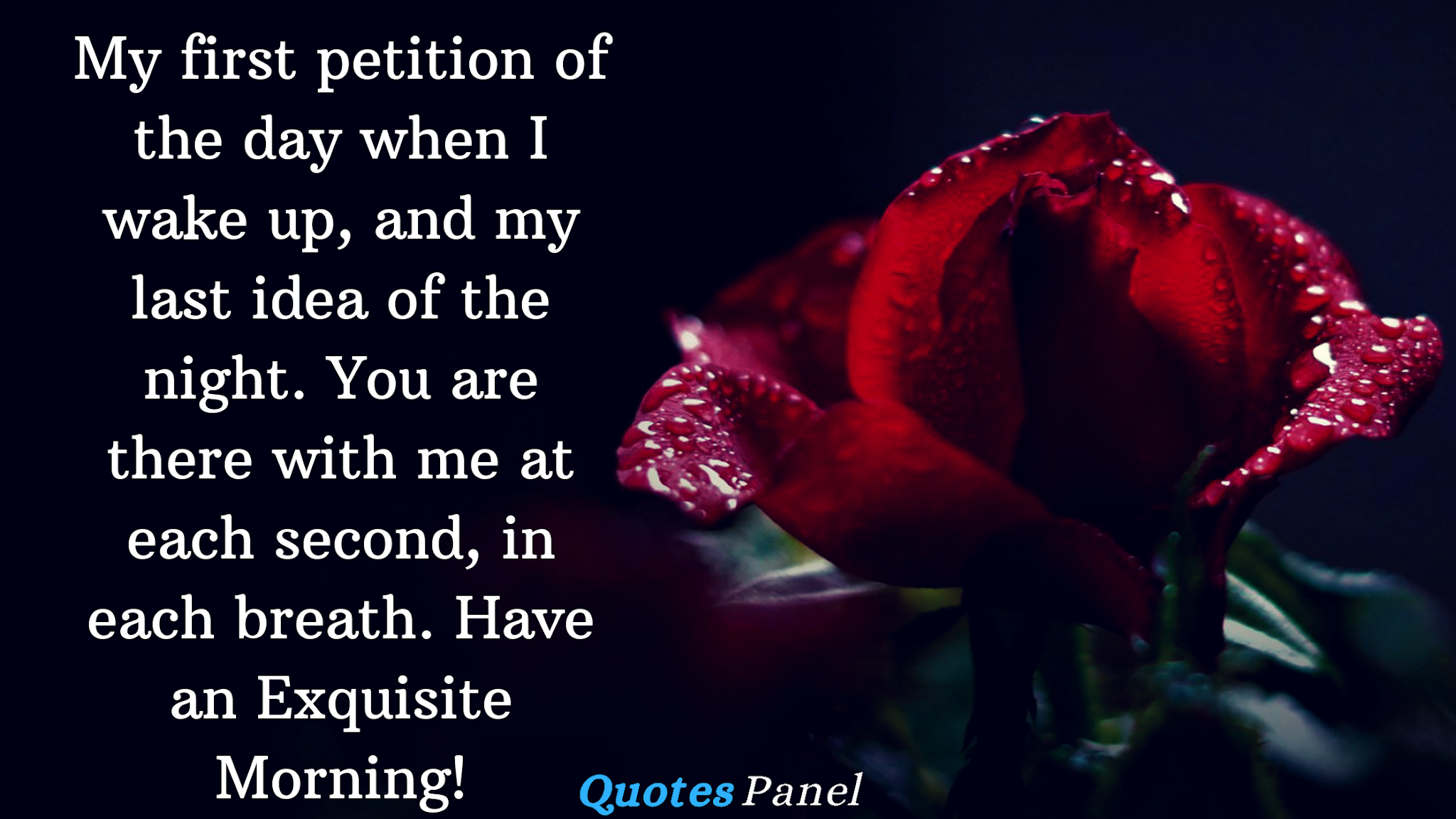Good Morning Quotes With Roses