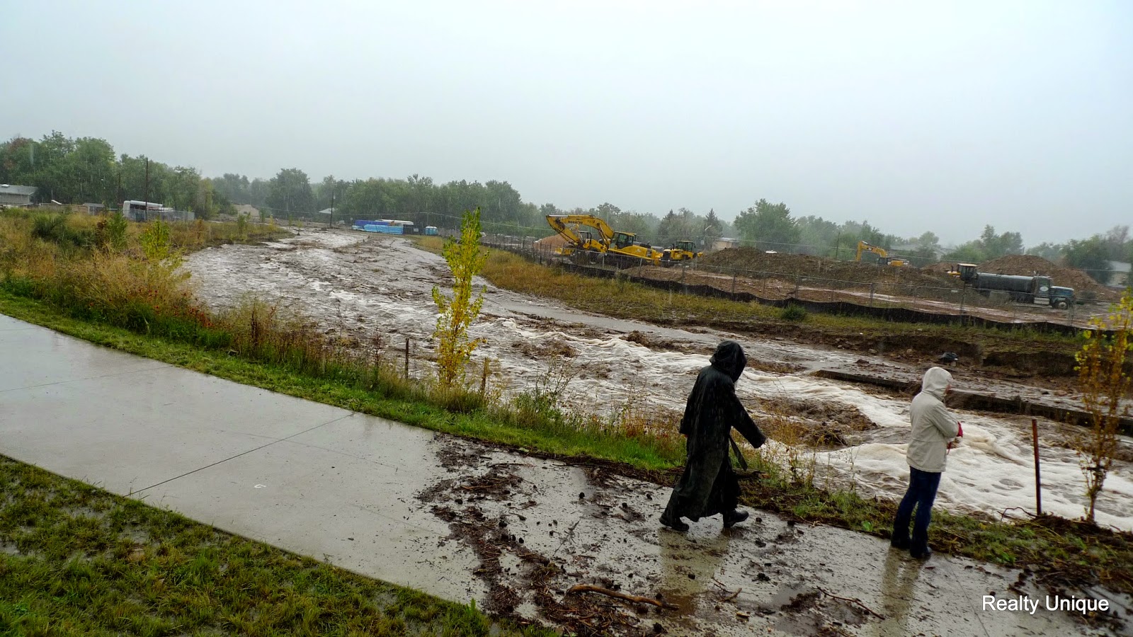 Violet Park - What's the Vision? - House Einstein