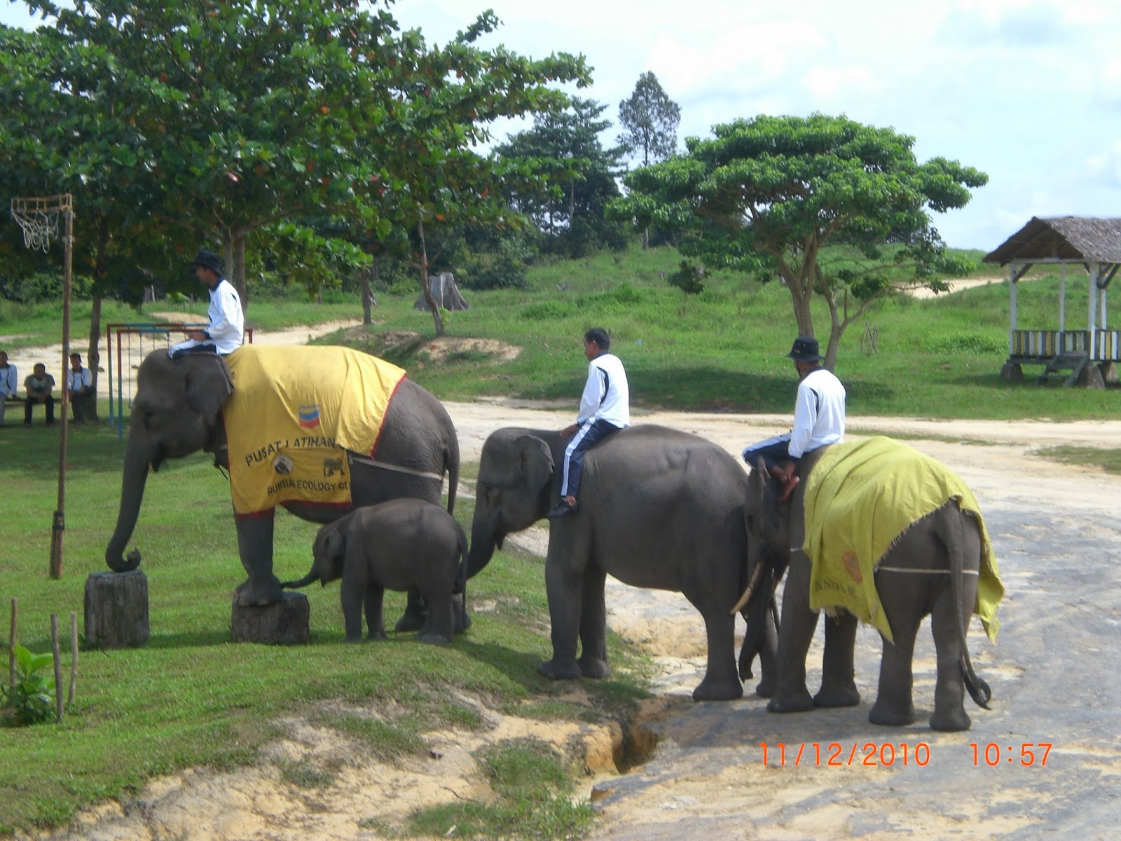 Coretan Rimbawan UR: Pusat Latihan Gajah Minas