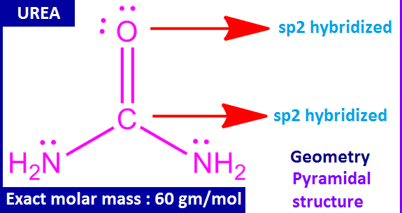 What is urea? - CHEMSOLVE.NET