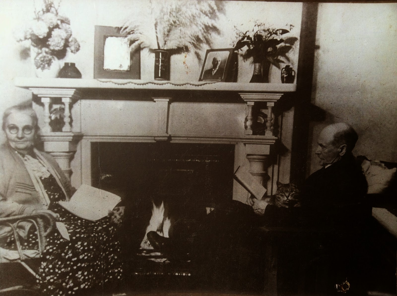 The Cobb Family of Napier: Alfred