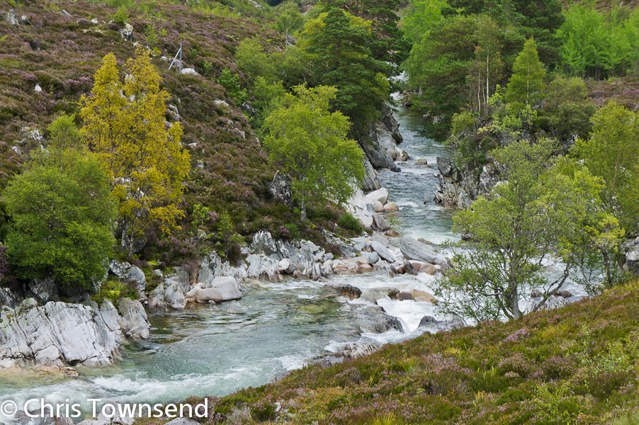 Chris Townsend Outdoors: A Wander Round Ben Avon