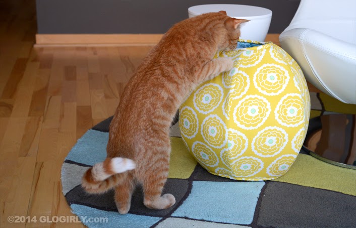 GLOGIRLY: Hidey-Hole Fun with The Cat Ball & a GIVEAWAY for You and ...