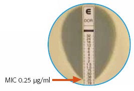 especialistarepremed: E TEST