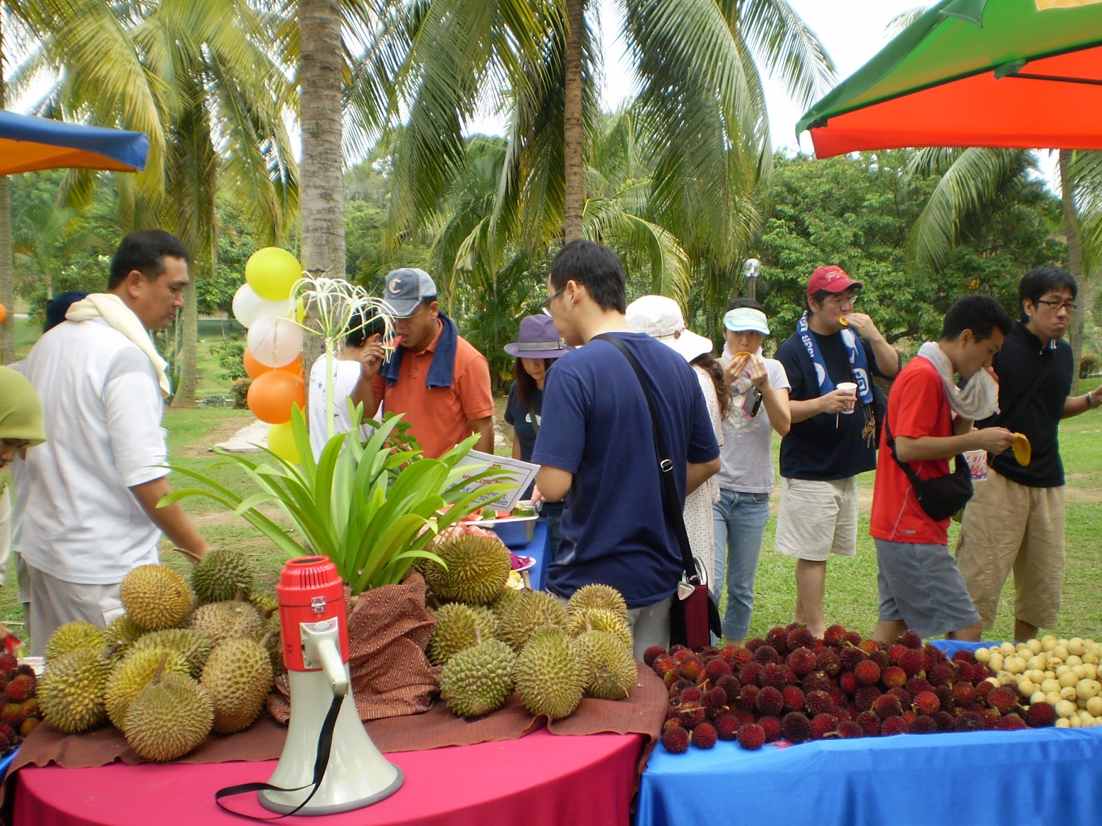 Melaka Tropical Fruit Farm: Lawatan ke Melaka Tropical Fruit Farm Sdn Bhd