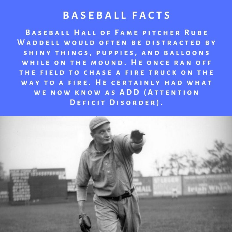 35 Amazing Facts about Baseball | Amazing WTF Facts