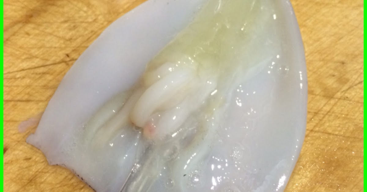 Eat what, Eat where?: How to Prep Squid