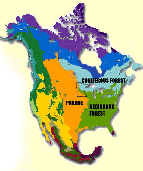 Flourish Realty LLC: MINNESOTA: PRAIRIE, BIG WOODS, AND BOREAL FOREST