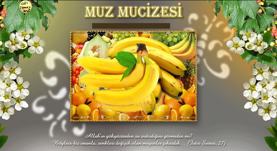 Muz Mucizesi: MUZUN DÜŞÜNDÜRDÜKLERİ