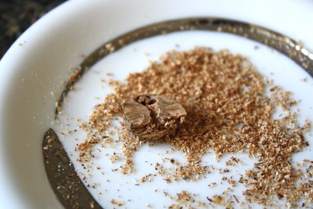 Dollop of Cream: cheddar corn chowder