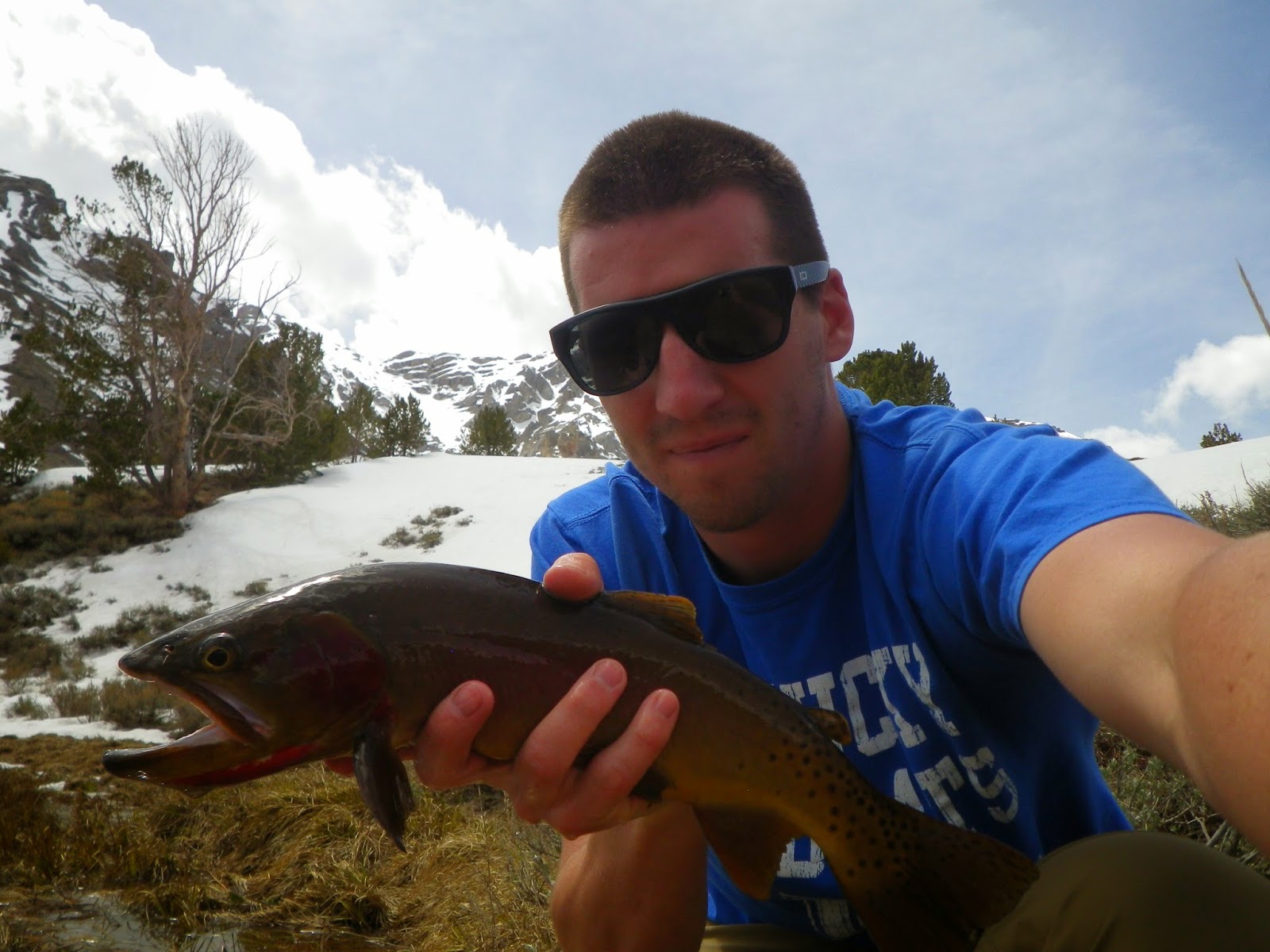 Backcountry Lakes: Swauger Lake: The Road Less Traveled