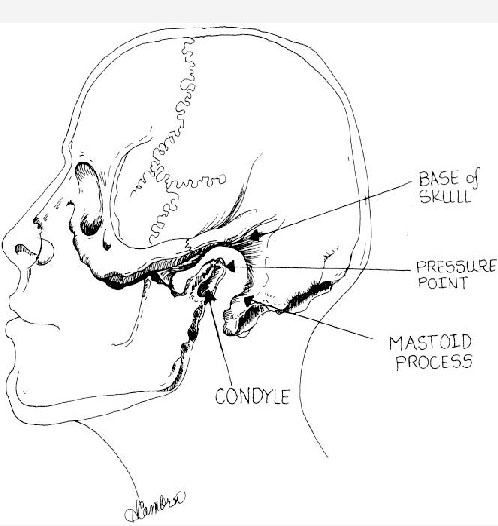 Laryngospasm Pressure Point | Fauquier ENT Blog