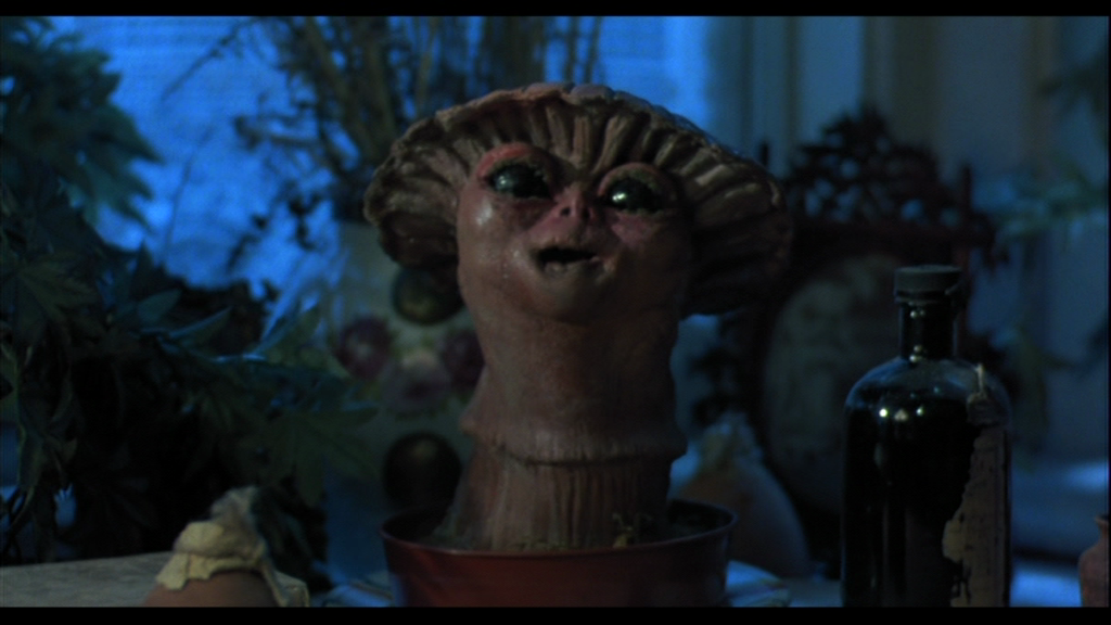 Pearce's Horror Movie Reviews: Troll (1986)