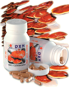 Health Using DXN Products