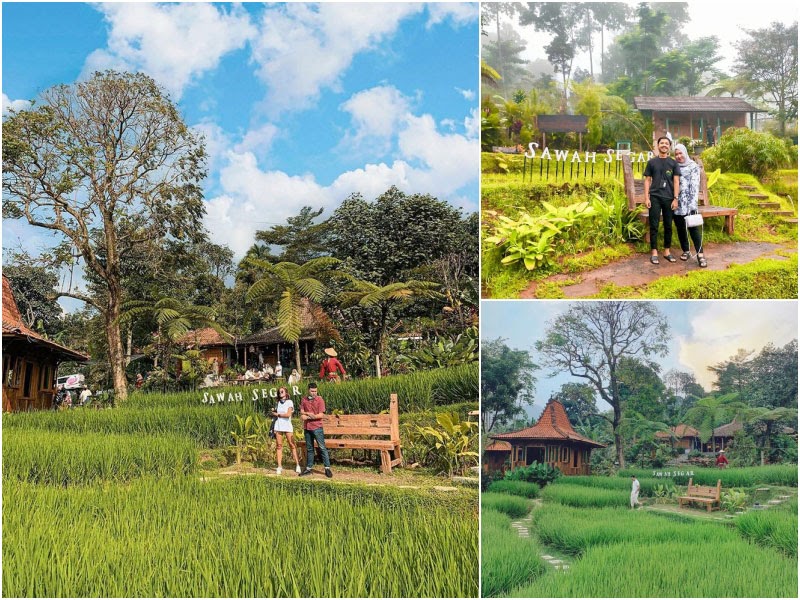 Kuliner Enak di Sawah Segar Sentul Bogor : Suasana yang Nyaman Ditambah ...