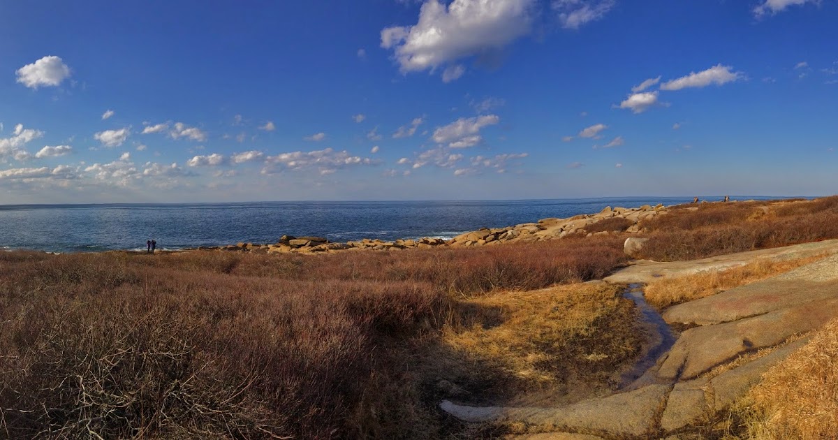 Day Tripping: Halibut Point