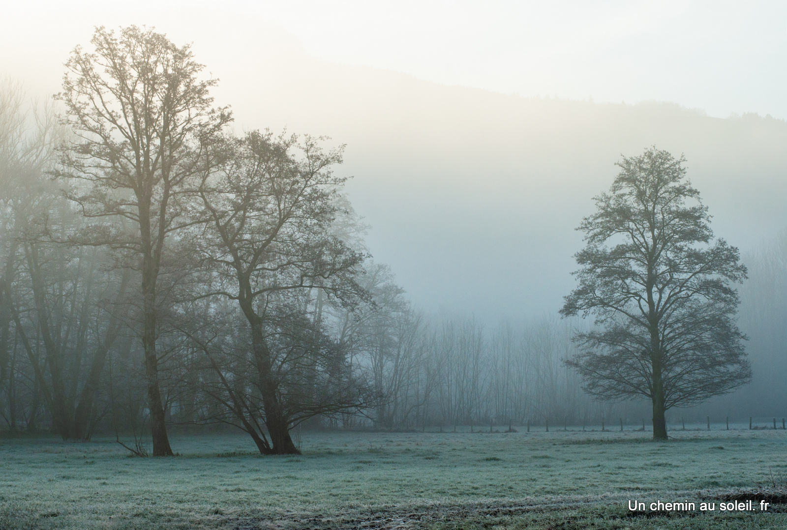 Un chemin au soleil: La brume s'incruste dans les paysages de cet hiver