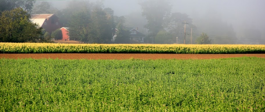 Adventures in all things food: Celebrating Fall on the Farm - DailyBuzz ...