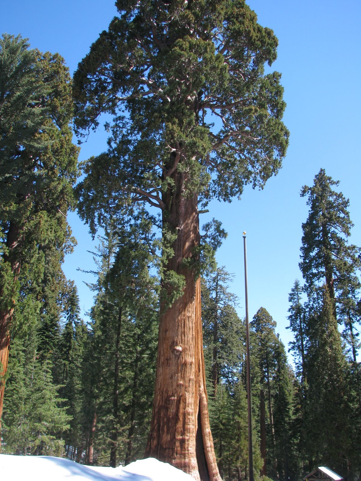 May 8 - 11, 2011 - Sequoia National Park, Kings Canyon National Park ...