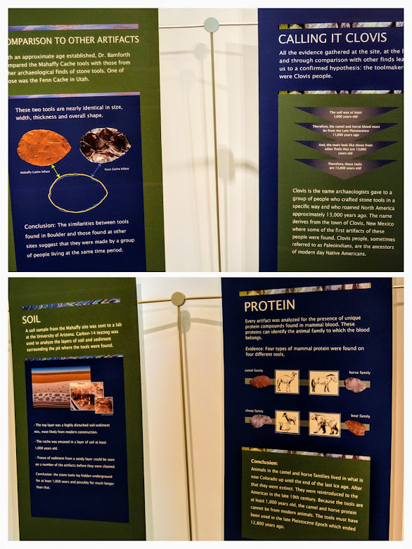 Mille Fiori Favoriti: The Mahaffy Cache- A Prehistoric Discovery!