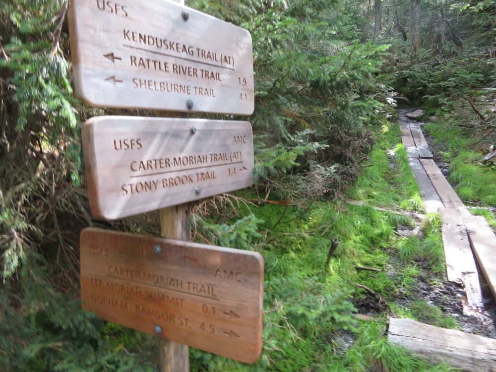 Outdoor Diversion: Shelburne Moriah Mountain to Mount Moriah