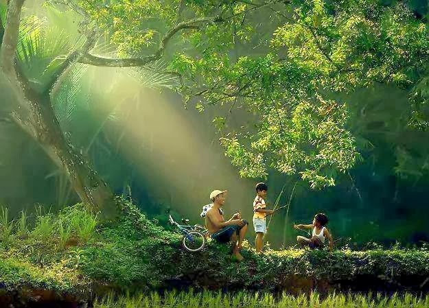 PAI KELAS 2 PELAJARAN 12: HIDUP DAMAI