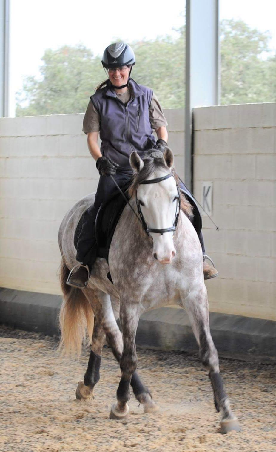 Equitation - Bien-être et performance pour votre cheval