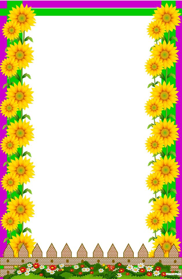 FLOWER BORDERS (Free Download) - Teachers Click