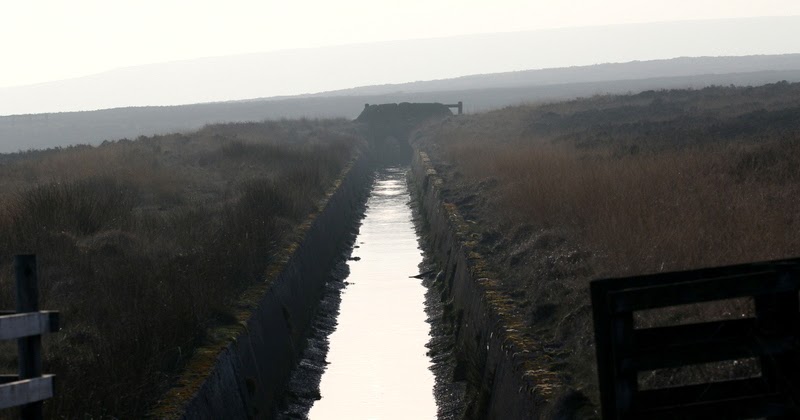 WEST YORKSHIRE BIRDING: Cold Edge Dams, Fly Flatts and fogged off again.