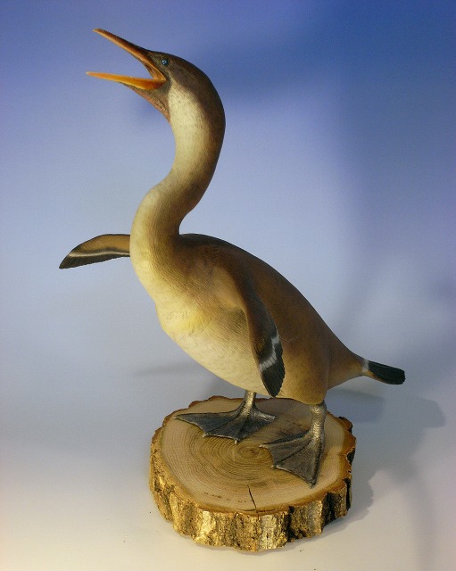 The Coastal Paleontologist: Bone-eating zombie worms, part 3: Osedax ...