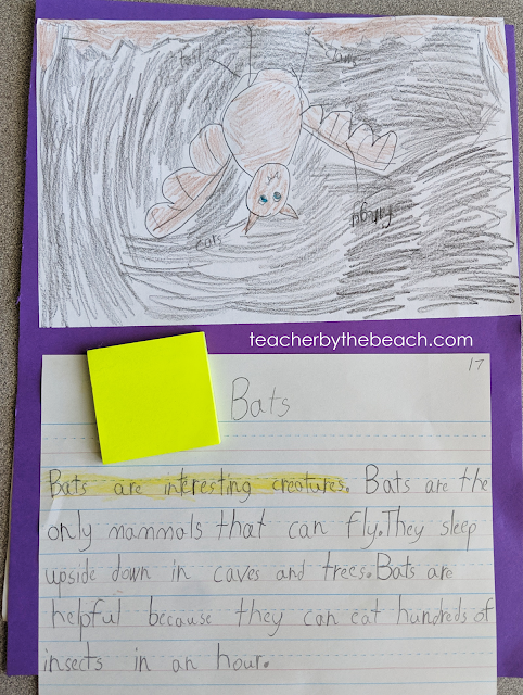 Planning for Bat Week - Teacher by the Beach