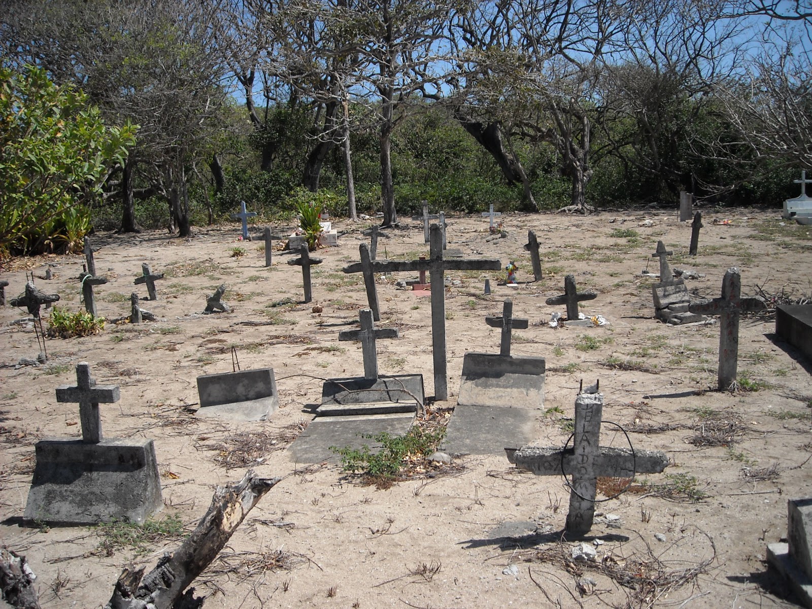 My Daily Swoon: A graveyard is a fine place to visit . . . when the sun ...