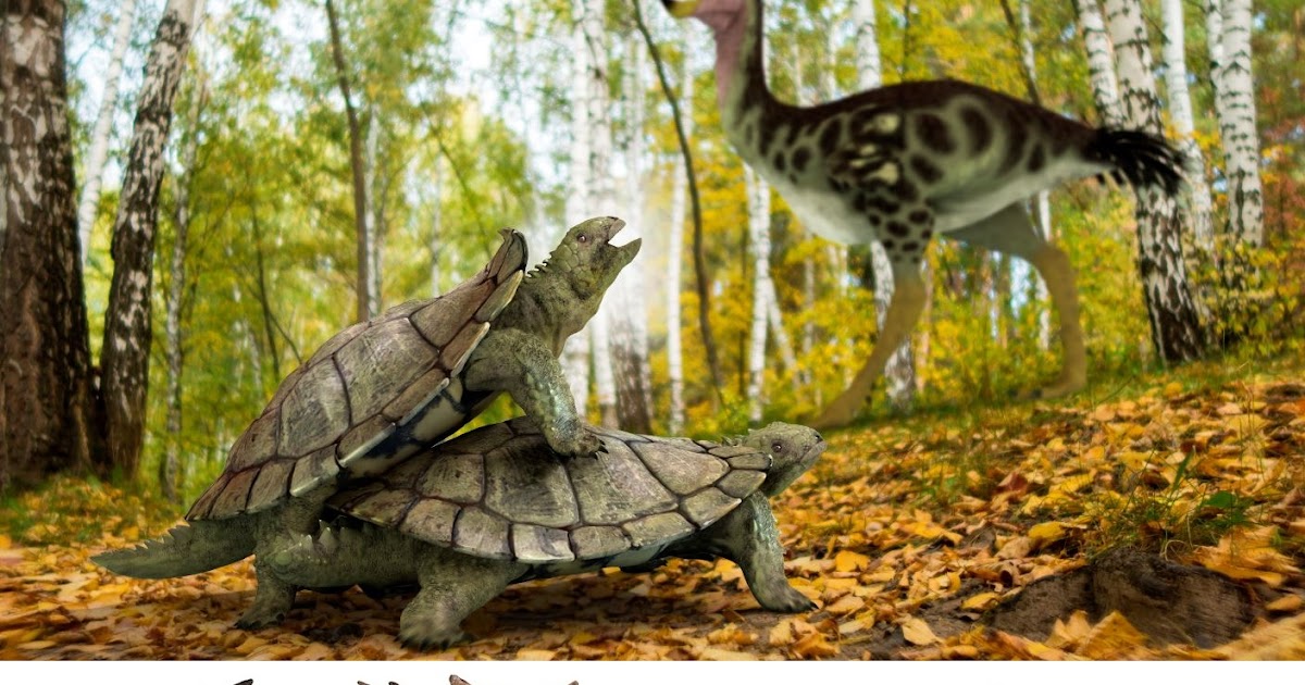 Species New to Science: [Paleontology • 2020] Laurasichersis relicta ...