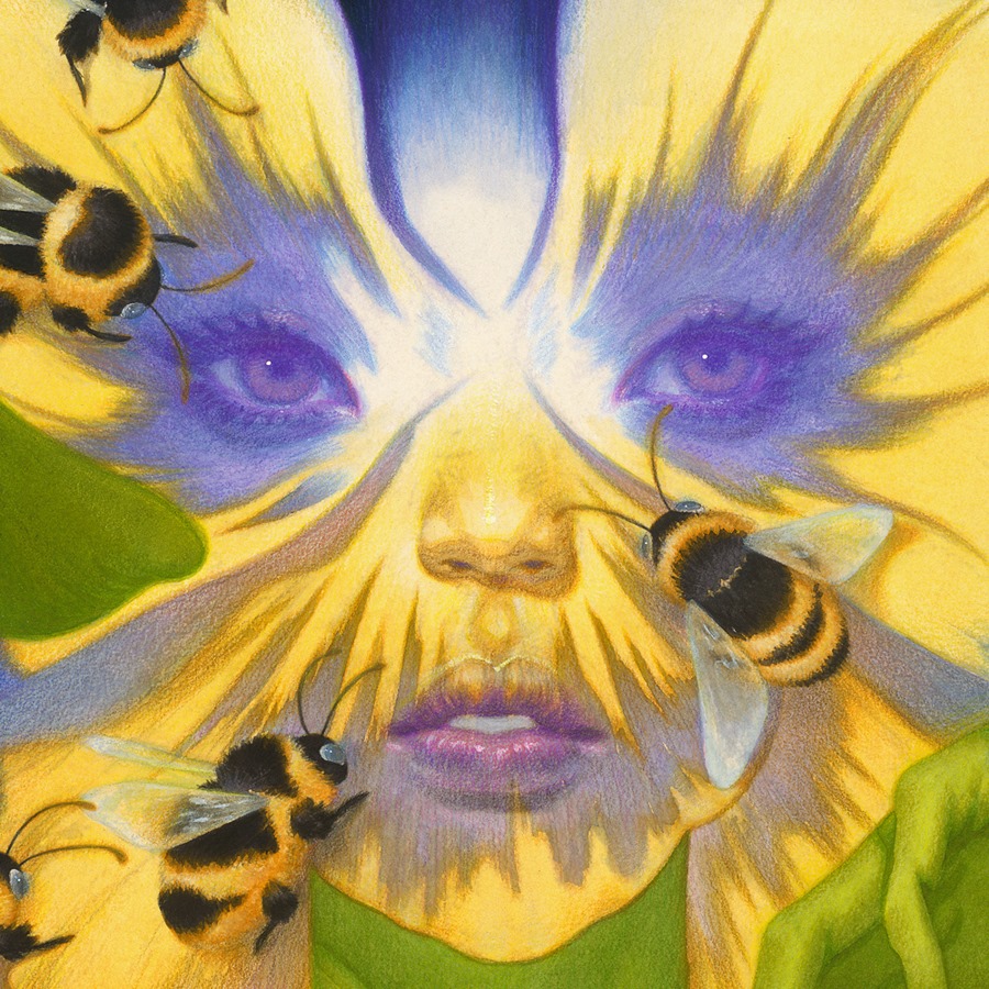 Tran Nguyen, 1987 | Pittrice surrealista | Tutt'Art@ | Masterpieces