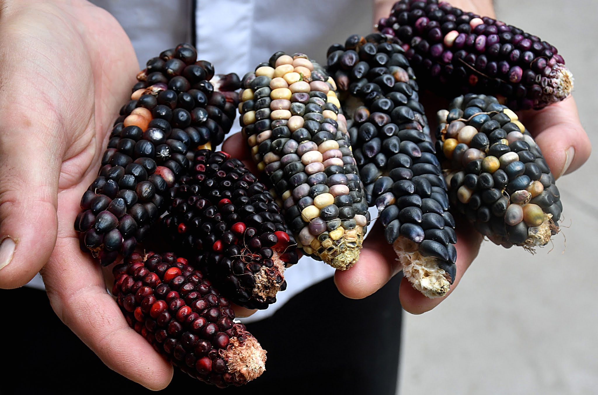 CupCakes and CrabLegs: Chef David Jahnke Cooking Classes Lab