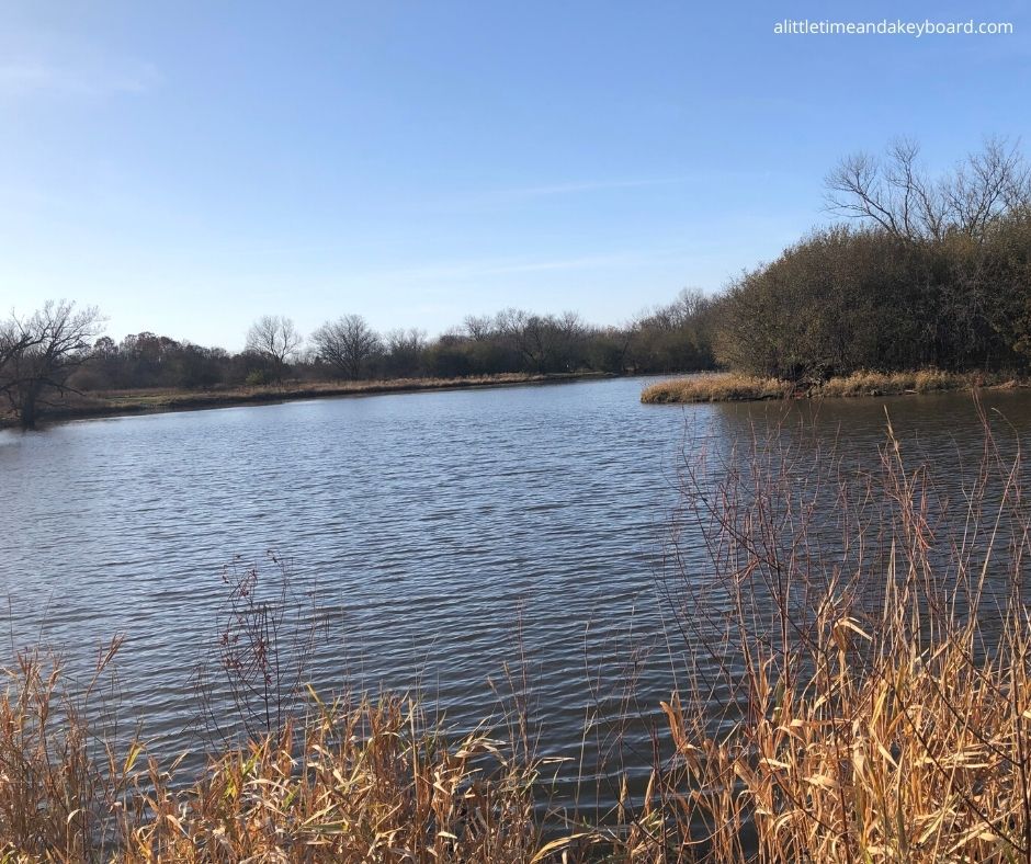 A Little Time and a Keyboard: Late Fall Amble at Bode Lake