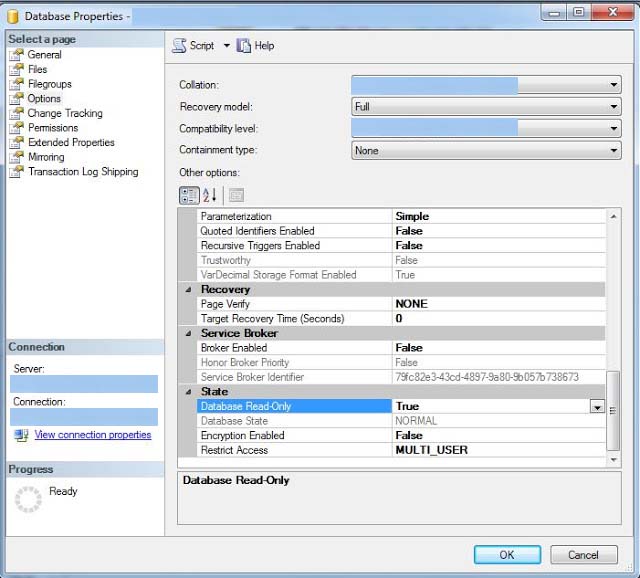 SQL Server database showing read only | Online Networks Solution
