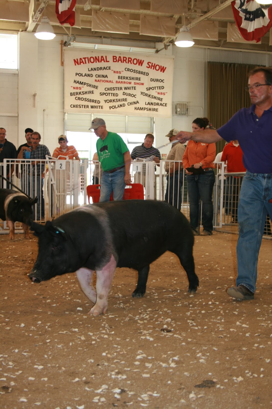 National Swine Registry: 2011 National Barrow Show Hampshire Barrow Results