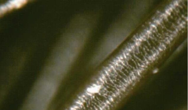 La Cutícula del Cabello ~ HENNA RADICO GUATEMALA